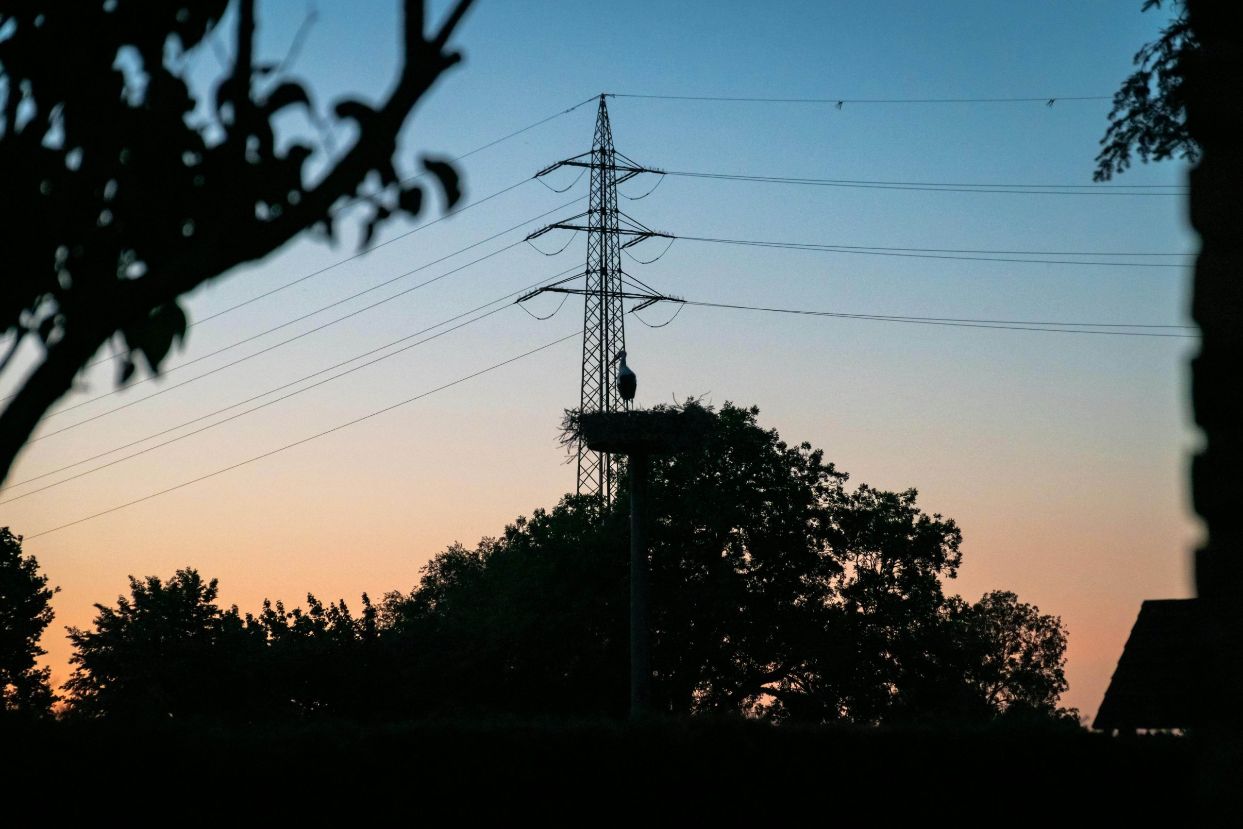 Compare Electricity Providers in Baytown: Find Best Rates & Plans!